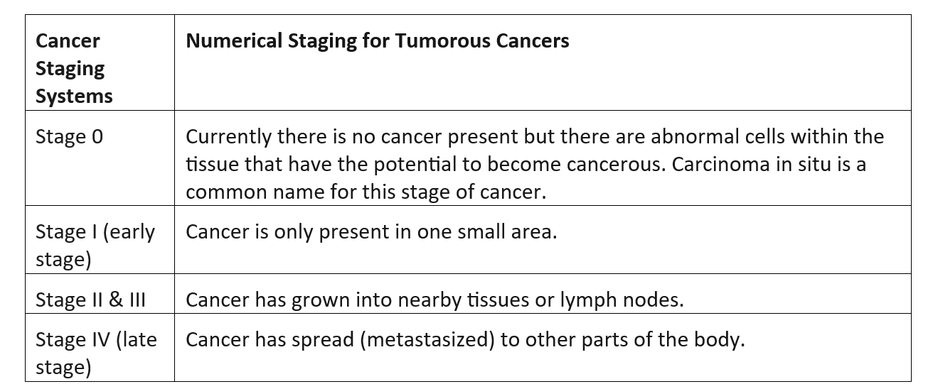 Employer Guide and Insights for Oncology Management - Staging - Florida ...